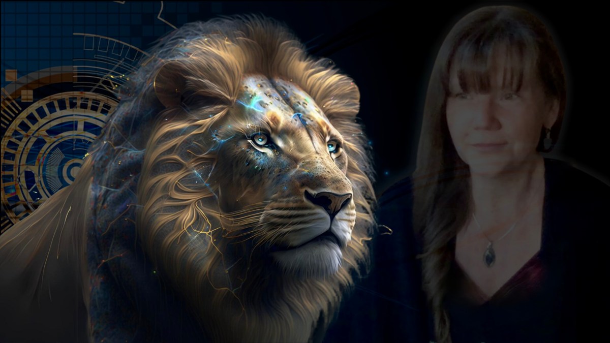 An Interesting Night : Advancements in Channeling, Lion and Feline ...